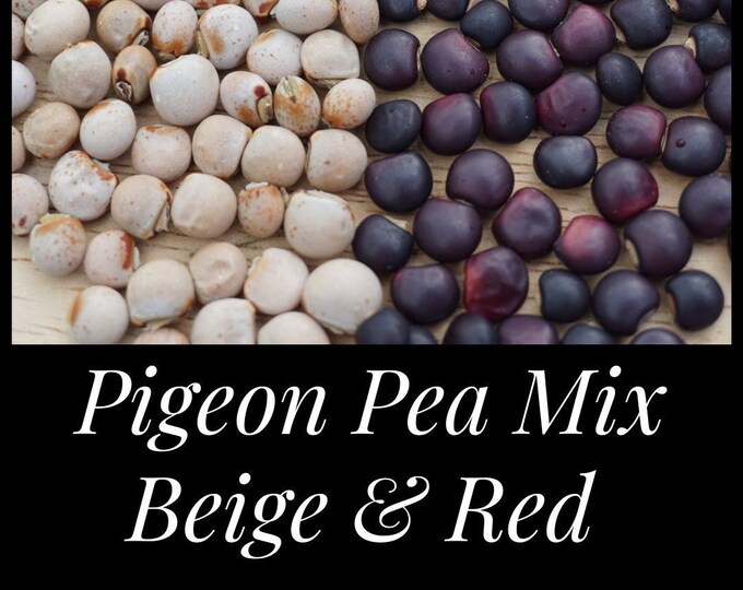 20 Pigeon Pea Seed Mix. Drought Tolerant Perennial Pea - Etsy