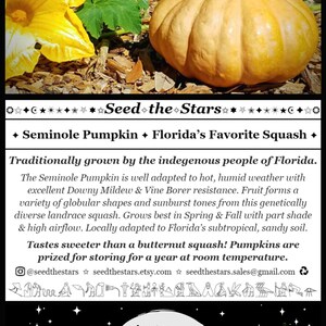 FLORIDA HEIRLOOM Seeds 4 Pack Seminole Pumpkin Seeds, Everglades Tomato ...