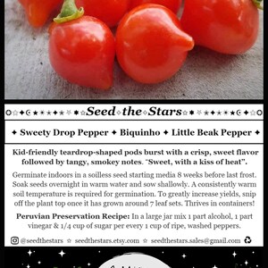 25 'sweety Drop' Pepper Seeds, Heirloom Red Biquinho Seeds, Brazilian ...