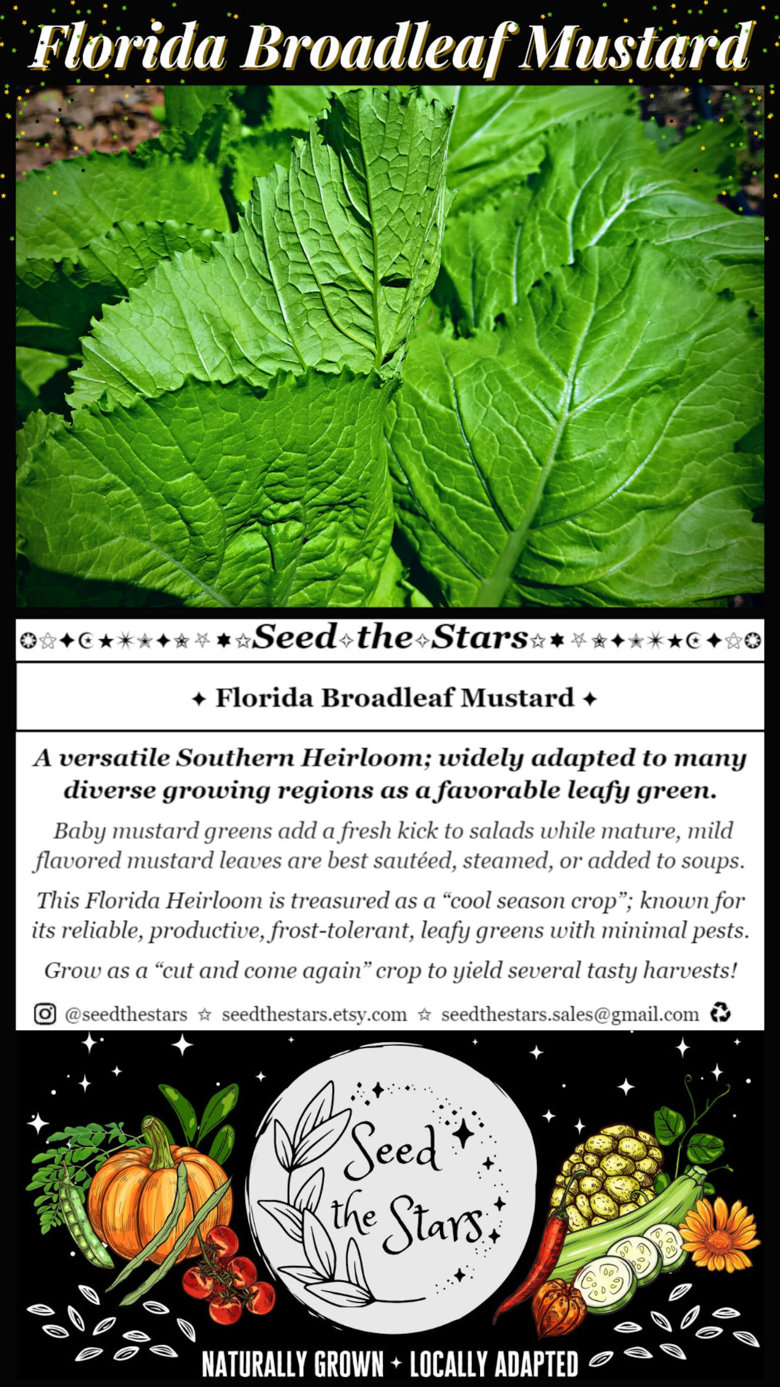 50 Florida Broadleaf Mustard Seeds Southern Heirloom Mustard - Etsy