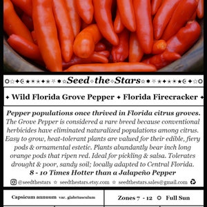 FLORIDA HEIRLOOM Seeds 4 Pack Seminole Pumpkin Seeds, Everglades Tomato ...