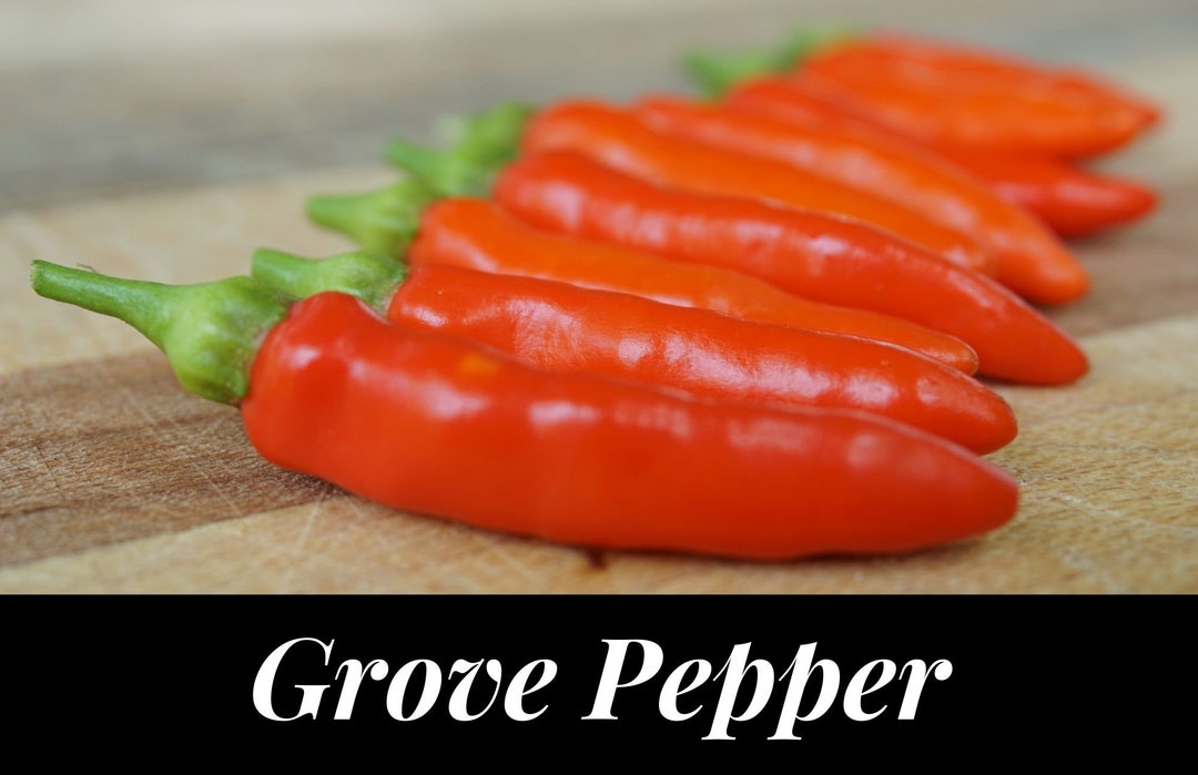 20 Florida Grove Pepper Seeds Bird Pepper Seeds Hot Florida Firecracker ...