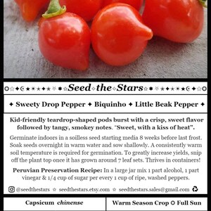 25 Sweety Drop Pepper Seeds, Heirloom Red Biquinho Seeds, Brazilian ...
