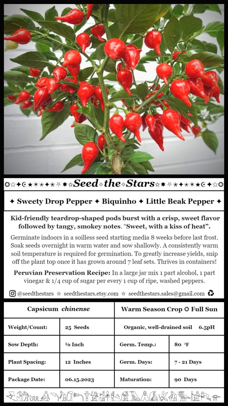 25 'sweety Drop' Pepper Seeds, Heirloom Red Biquinho Seeds, Brazilian ...