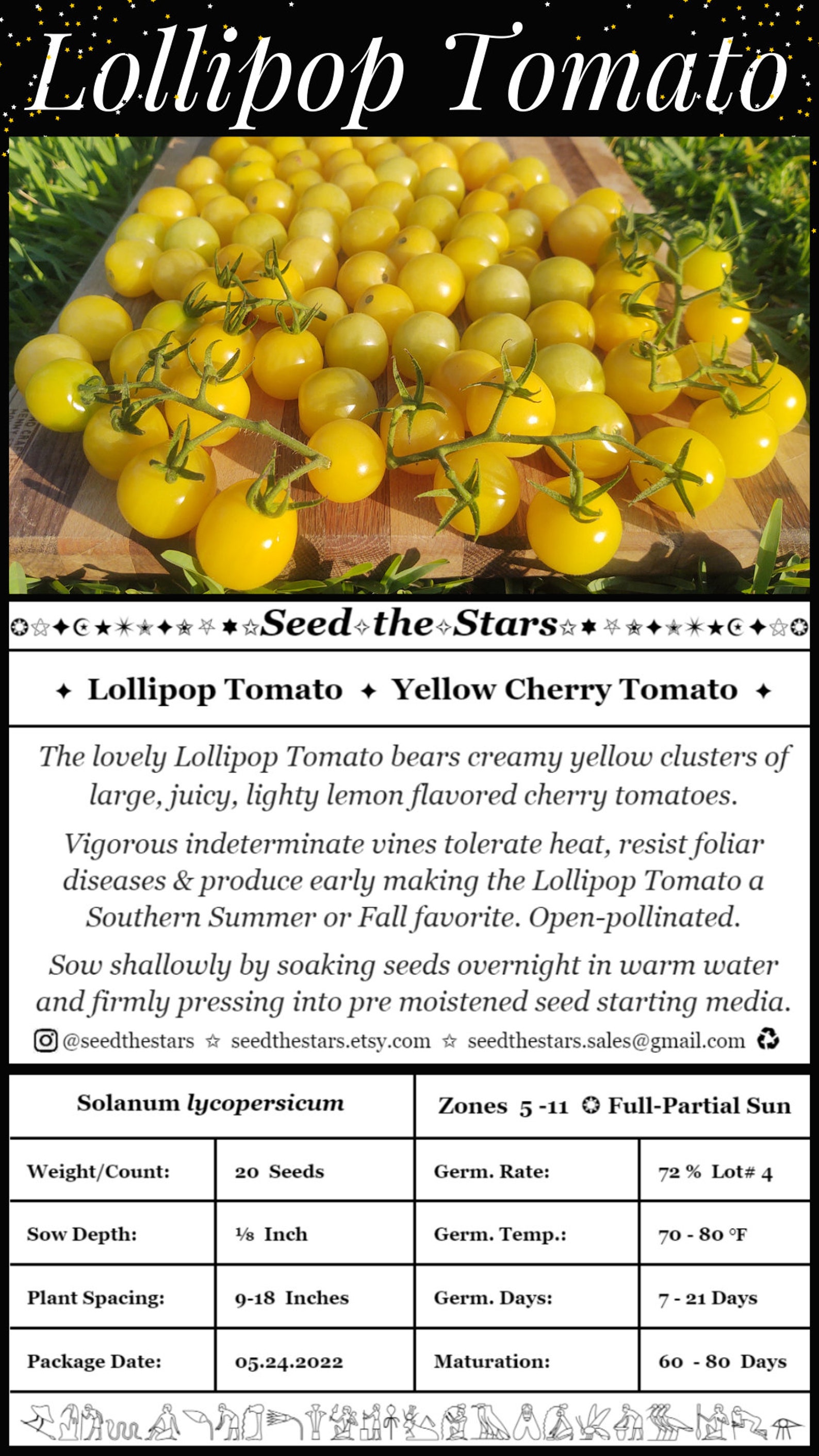 20 Lollipop Tomato Seeds Yellow Cherry Tomato Solanum - Etsy