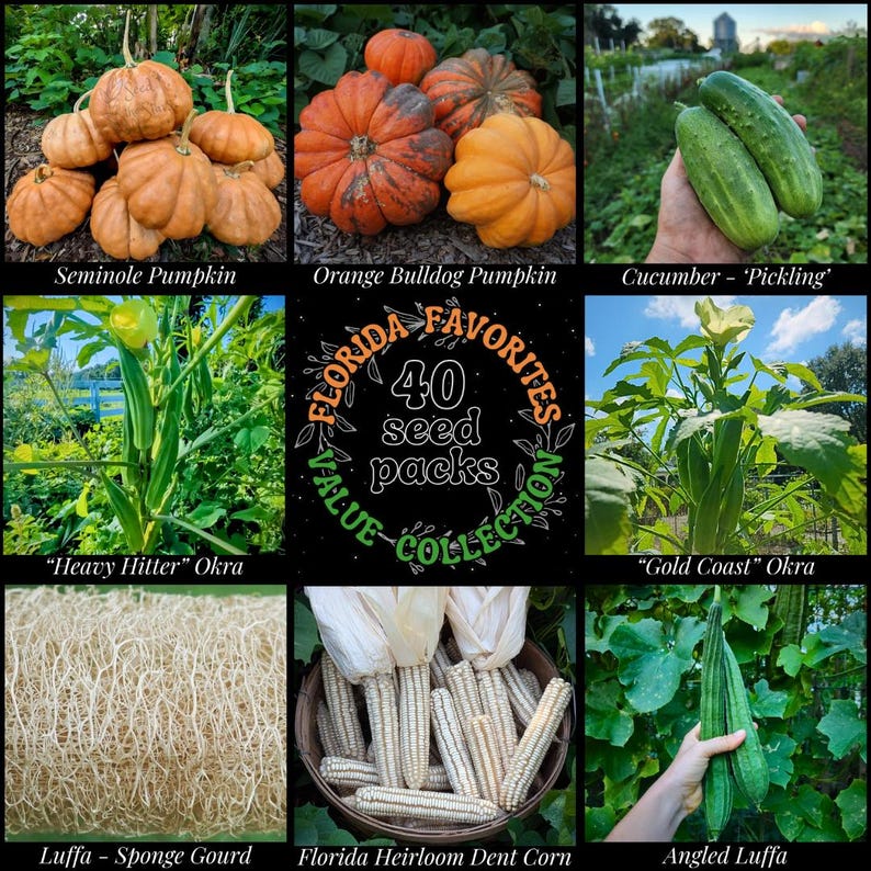 Florida Favorites Seed Collection – 40 Organic Seed Packets, Florida ...