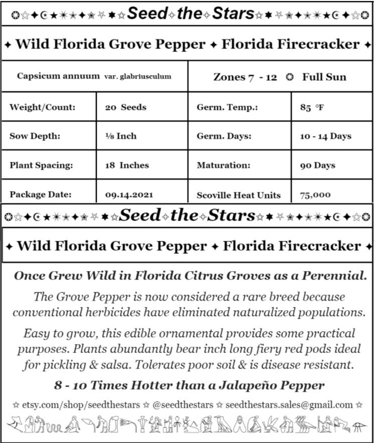 20 Florida Grove Pepper Seeds Bird Pepper Seeds Hot | Etsy