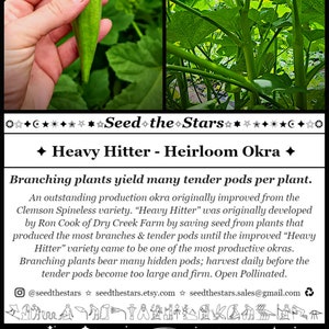 20 'heavy Hitter' Heirloom Okra Seeds, Organic Okra Seeds, Seed the ...