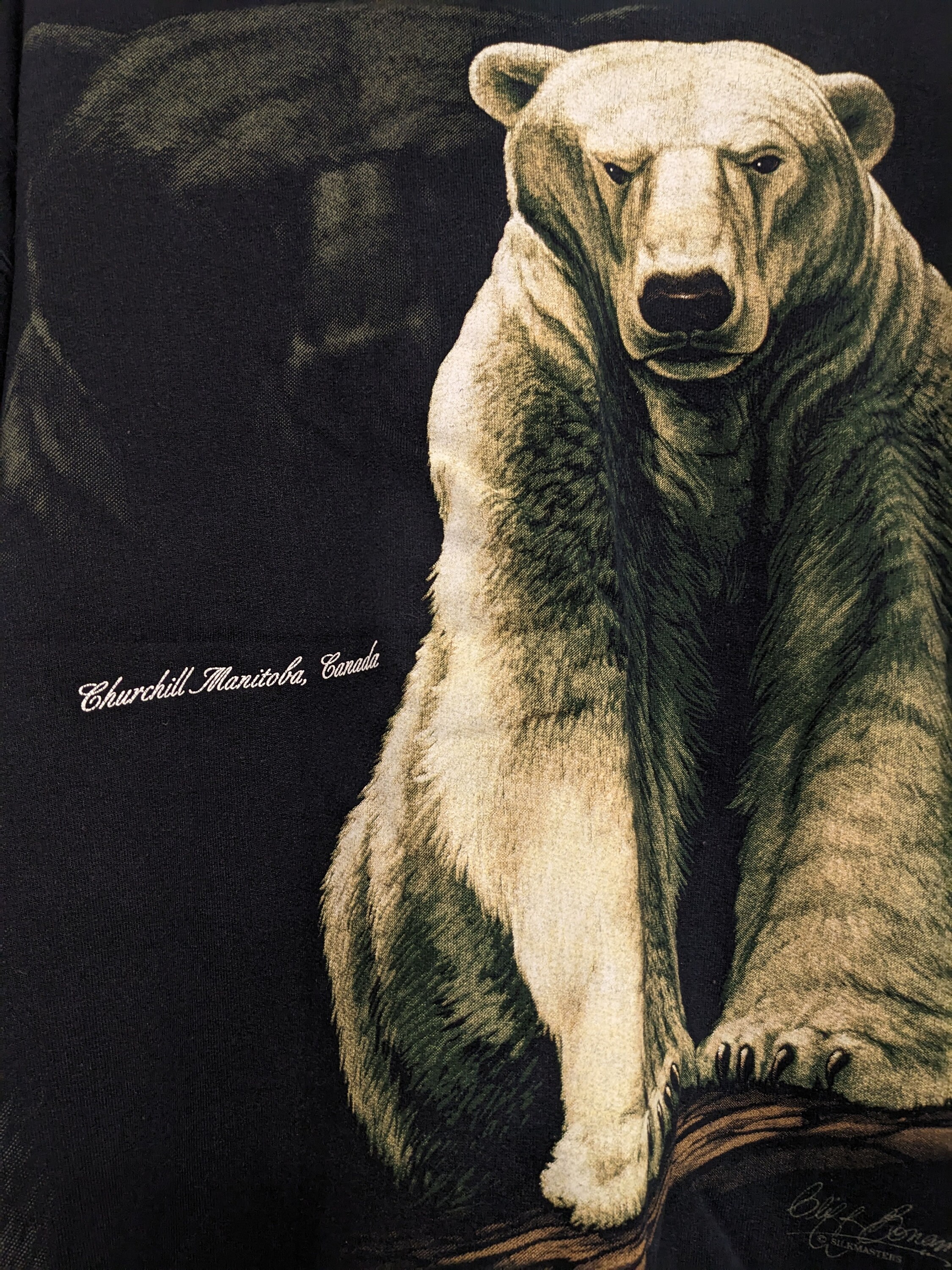 Vintage Churchill Manitoba Wildlife Polar Bear Animal Crewneck - Etsy