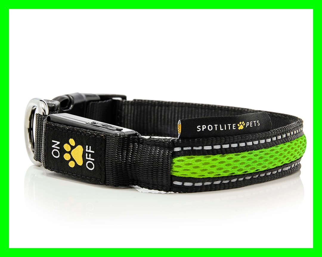 LED Lighted Dog Collar - GLOWING GREEN - Etsy