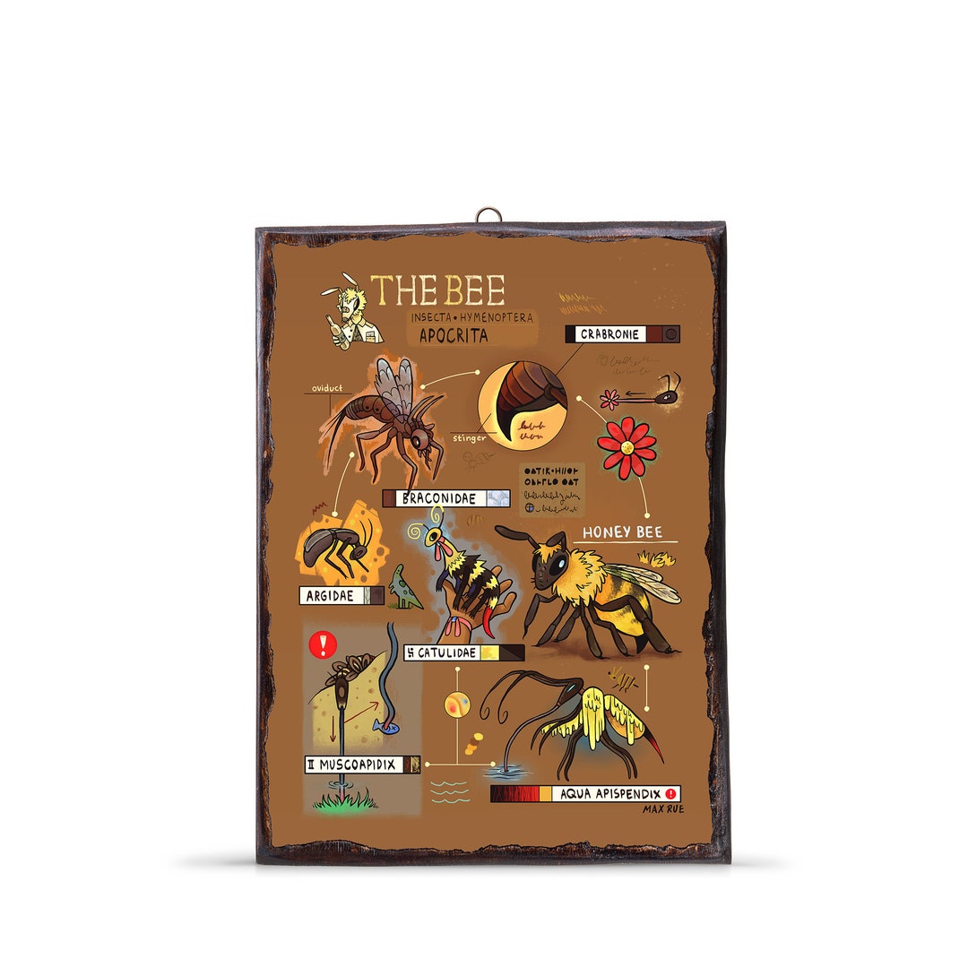 Bee Evolution Wooden Frame Wal Hanging-wood Decoration Fiction Biology ...