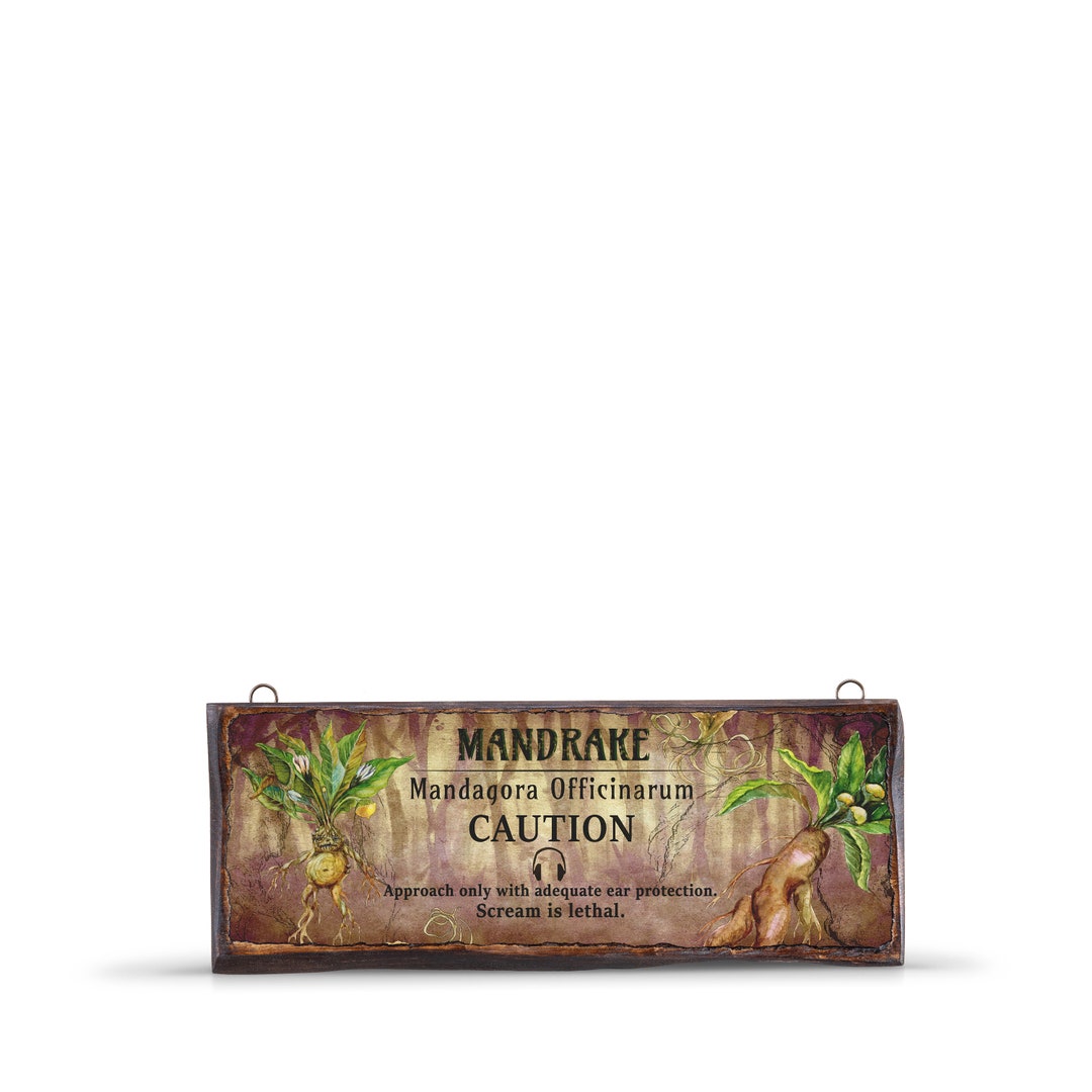Mandrake Fantasy Art wooden Sign Alchemist Magical Herbs Wizards and ...