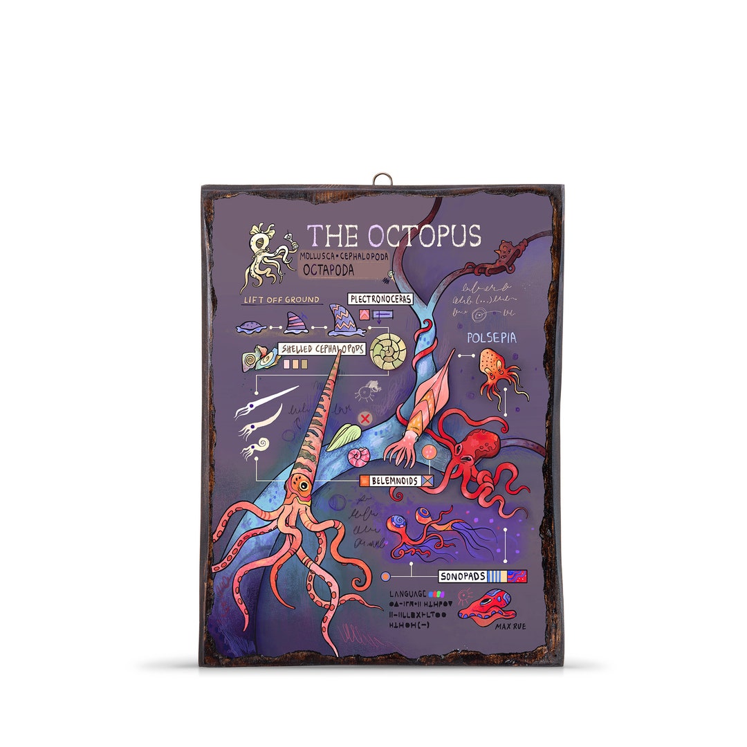 Octopus Evolution Wooden Frame Wal Hanging-wood Decoration Fiction ...