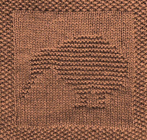 Knitting Pattern for Kiwi Bird Washcloth or Afghan Square - Etsy