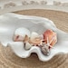 Australian Seashell Assortment With 10 Mixed Shells - Etsy Australia
