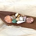 Australian Seashell Assortment With 10 Mixed Shells - Etsy Australia