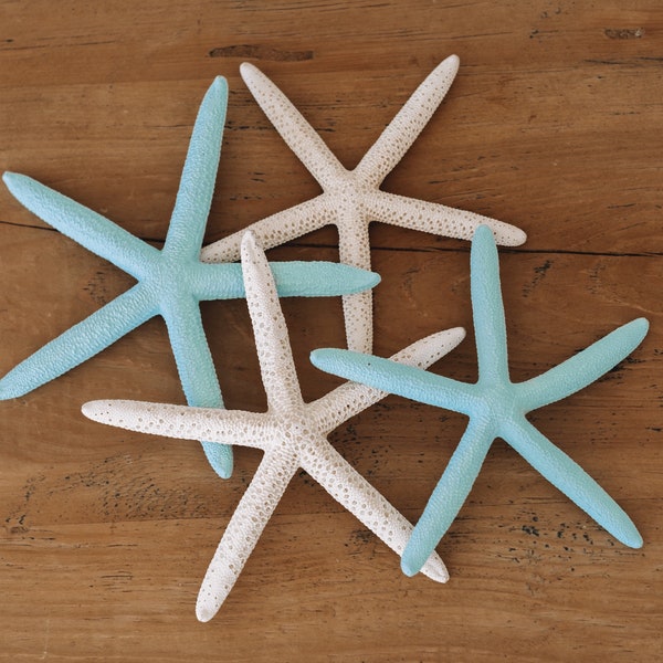 Finger Starfish - Etsy