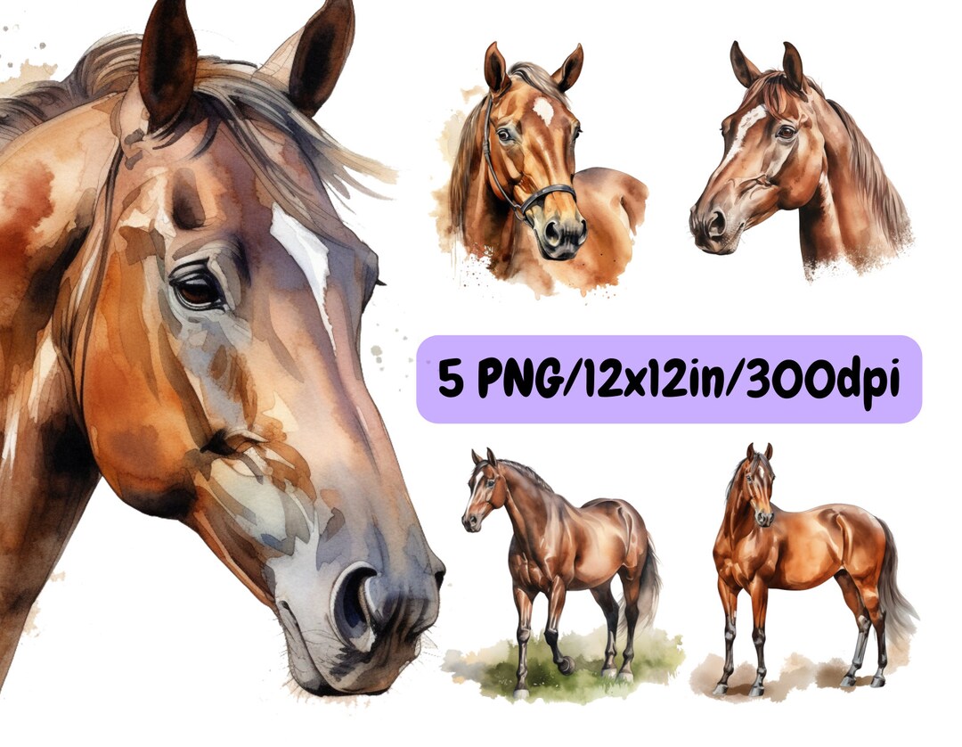 Horse Watercolor Clipart, Set 5 PNG for to Create Gifts, for Printing ...