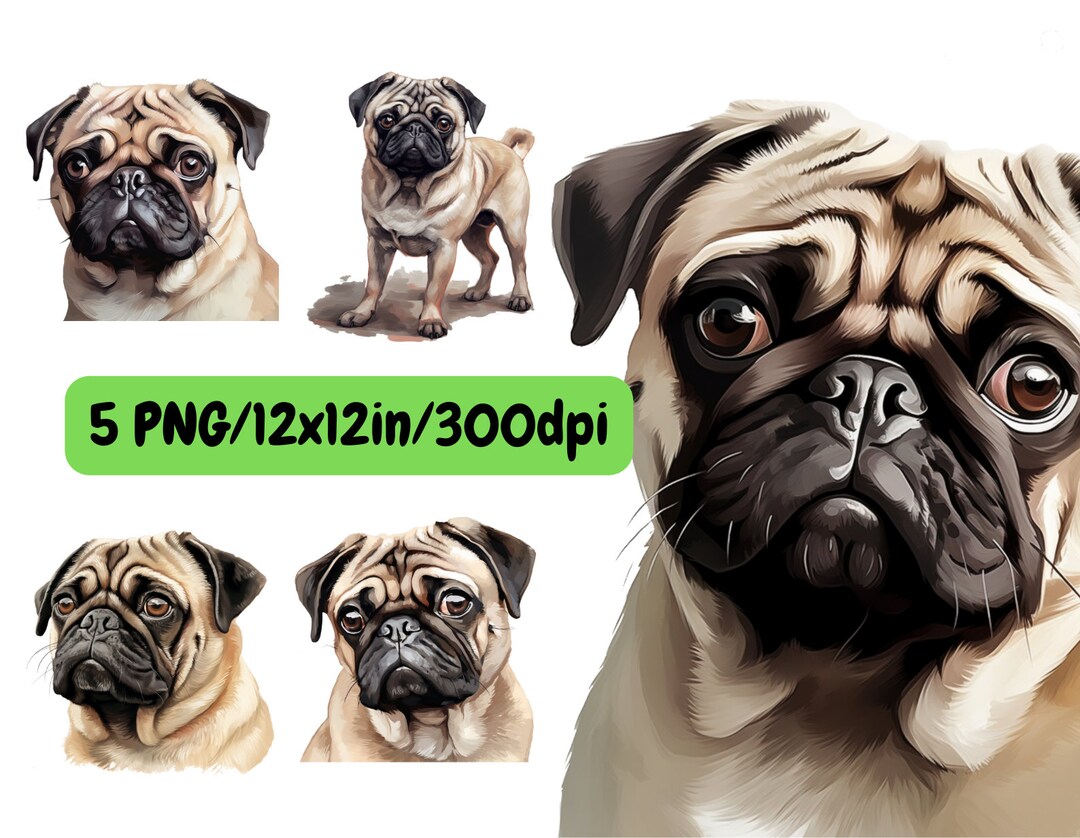 Pug Watercolor Clipart, Set 5 Dog PNG for Creating Gifts, Print on T ...