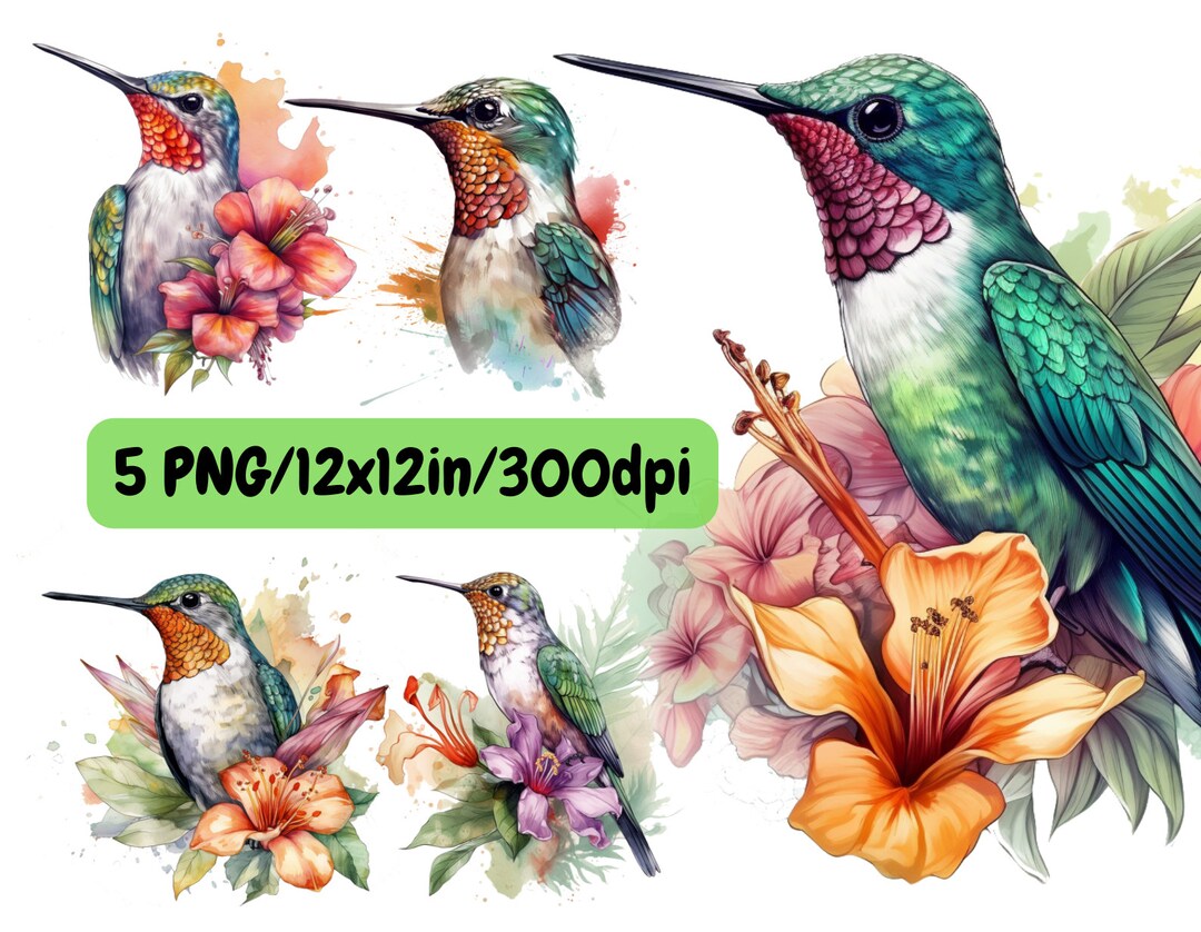 Hummingbird Watercolor Clipart Set 5 PNG for to Create Gifts - Etsy ...