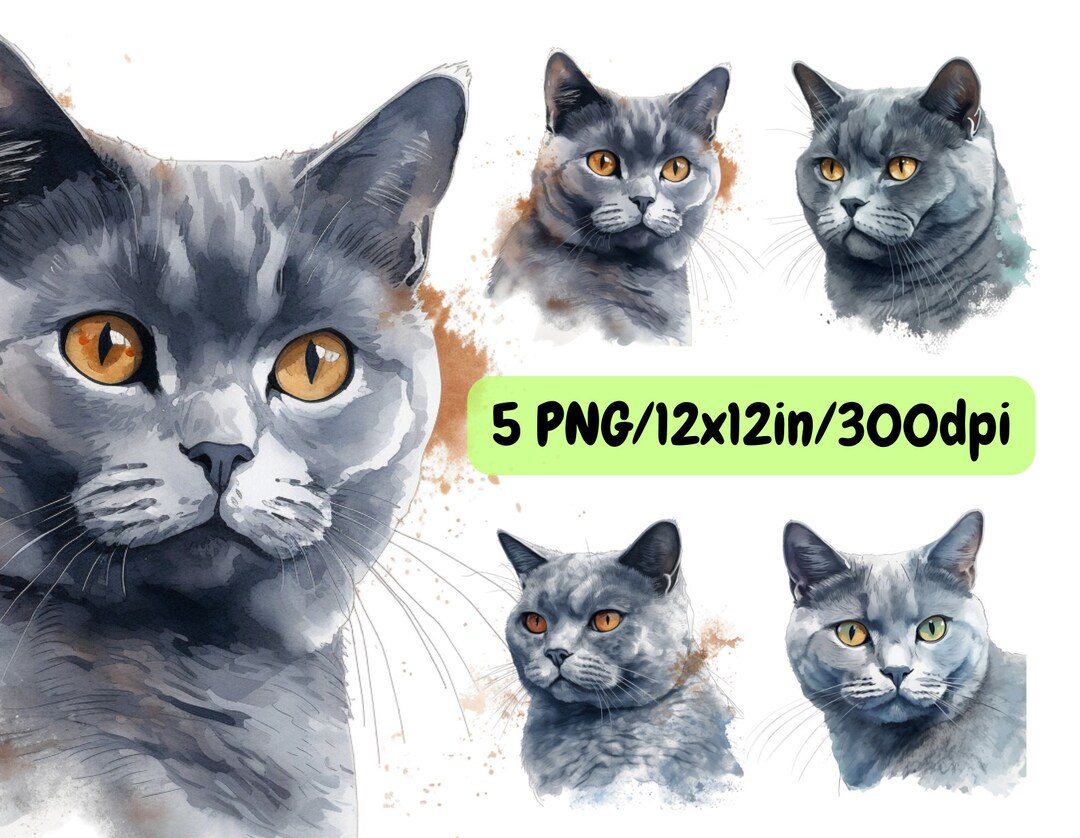 British Blue Cat Watercolor Clipart, Set 5 PNG for to Create Gifts, for ...