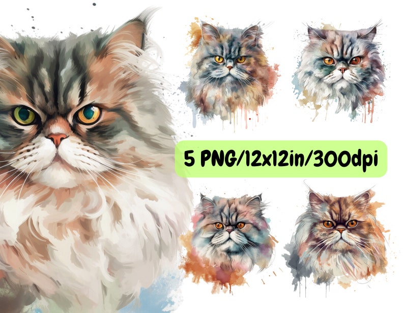 Persian Cat Watercolor Clipart, Set 5 PNG for to Create Gifts, for ...