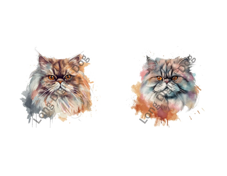 Persian Cat Watercolor Clipart, Set 5 PNG for to Create Gifts, for ...