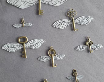 5 x flying keys with wings various types and sizes 5KEY5