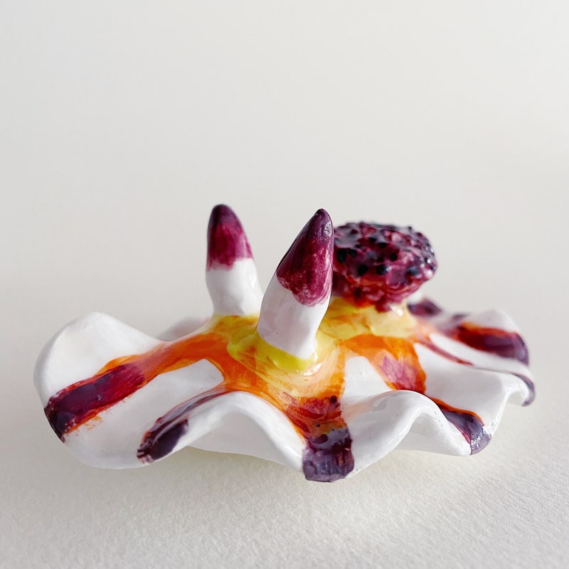 Nudibranch - Etsy