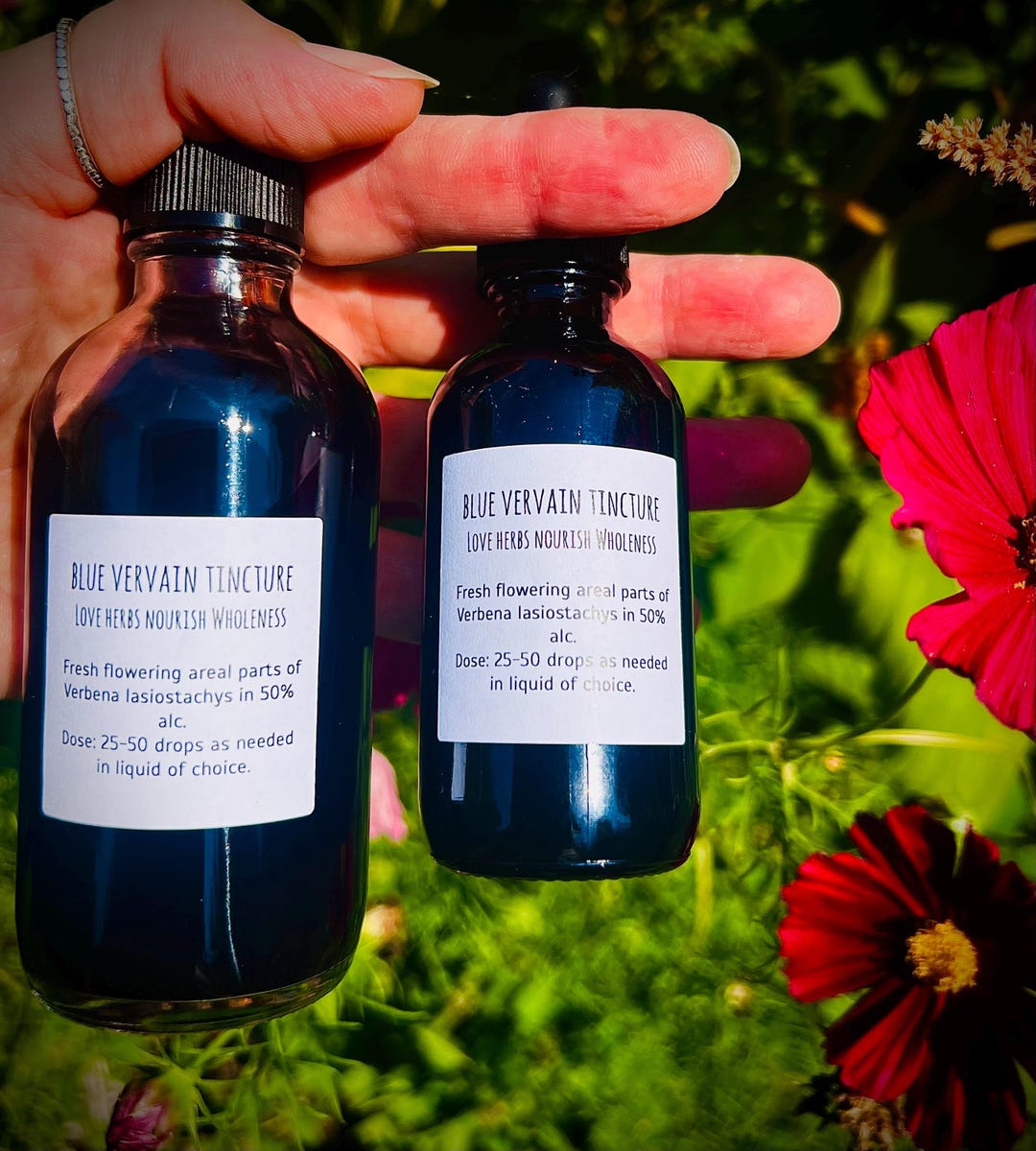 Blue Vervain Tincture - Etsy