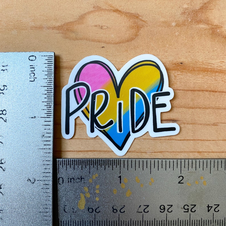 STICKER Pansexual Pride Pan Sticker Vinyl Sticker Lucky | Etsy