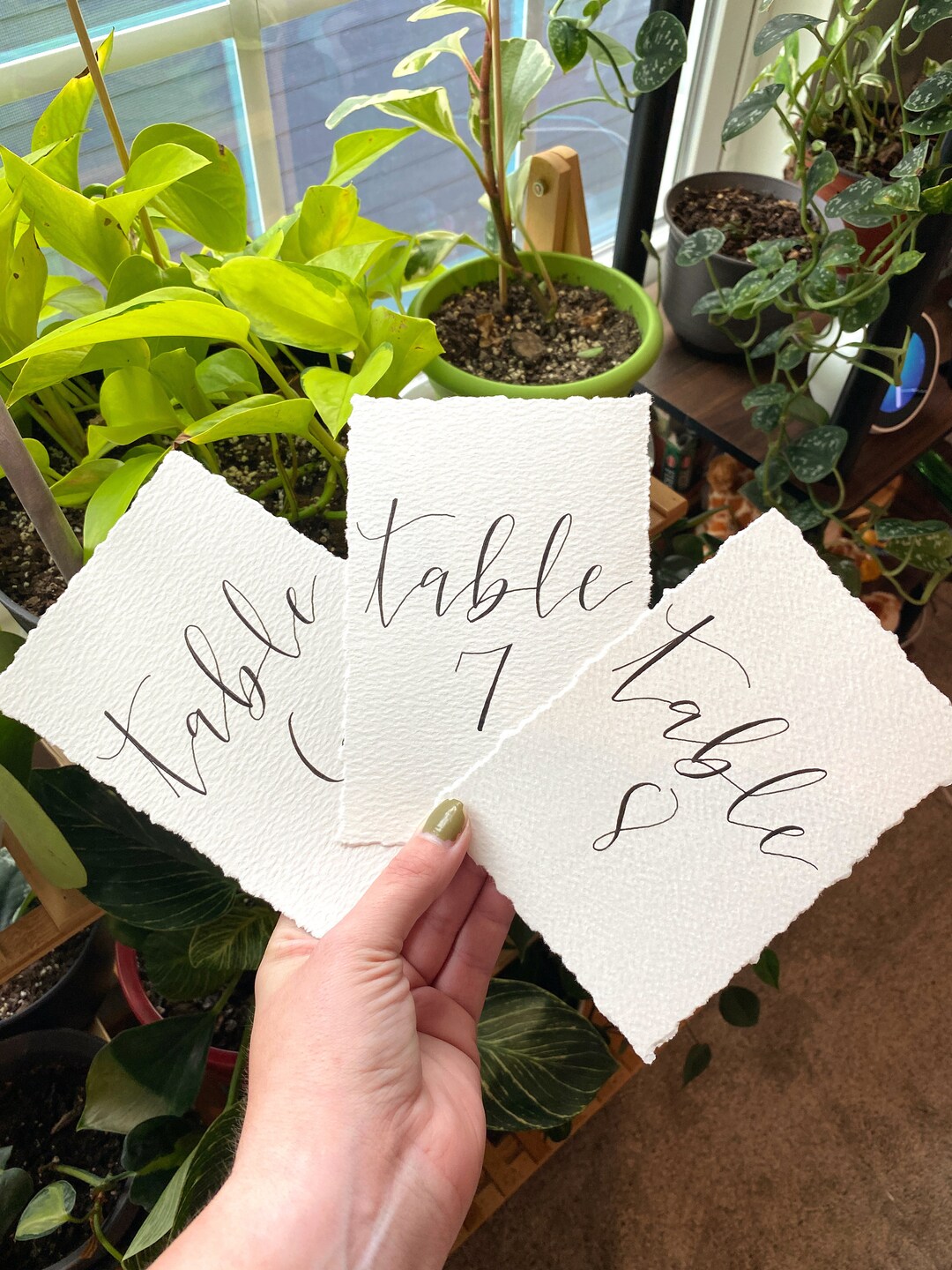 Table Number Inserts for Wedding Decor Frames, Hand Torn Deckled Edge ...