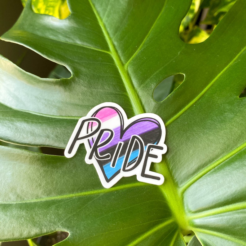 STICKER Genderfluid Gender Fluid Friend Gift Lucky Shadow - Etsy