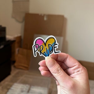 STICKER, Pansexual Pride, Pan Sticker, Vinyl Sticker, Lucky Shadow Shop ...