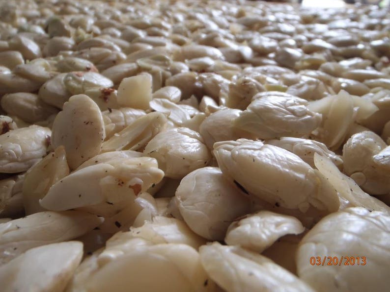 Nangai Oil Canarium Indicum Ngali Nut 100% Pure and | Etsy