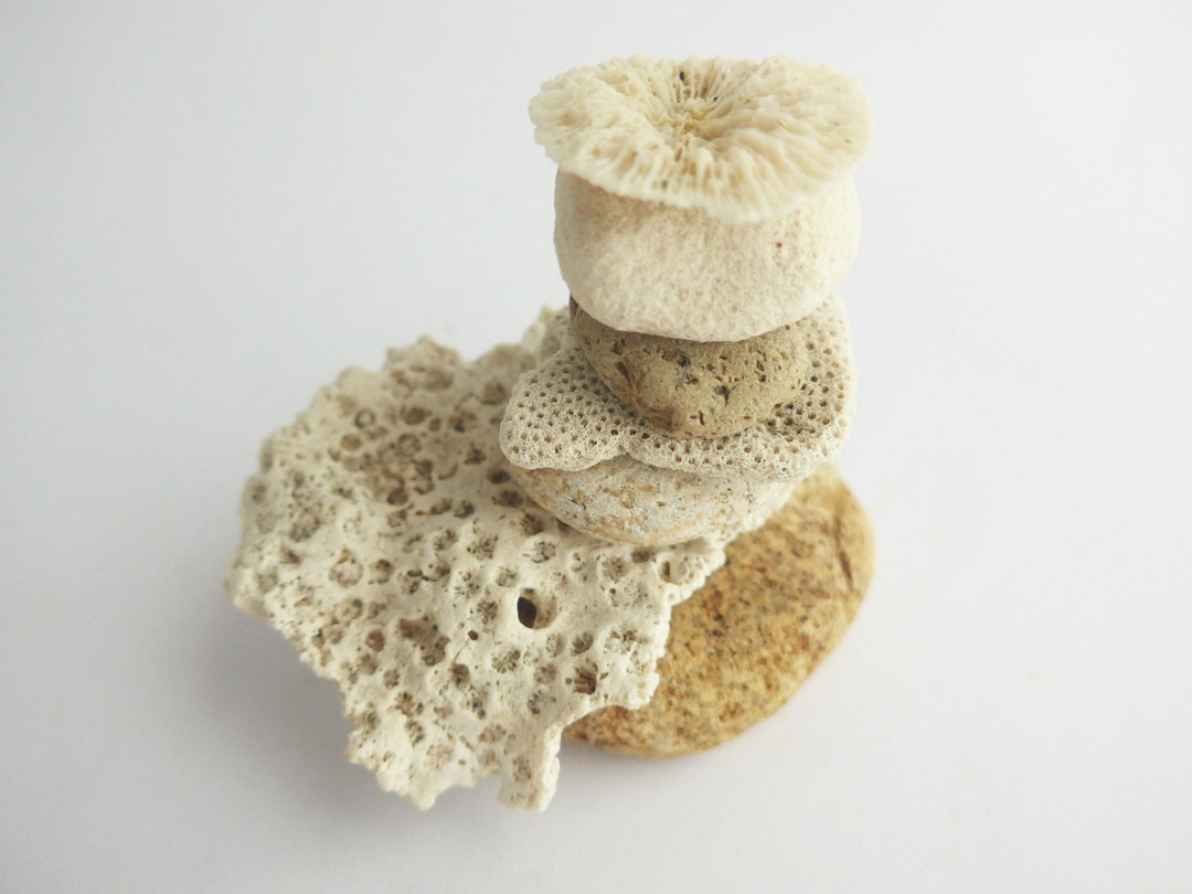 Beach Rock Stack Beach Coral Stone Sculpture Natural Zen Décor Beach ...