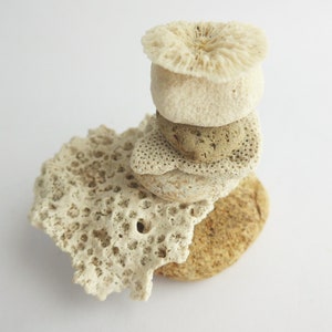 Beach Rock Stack Beach Coral Stone Sculpture Natural Zen Décor Beach ...