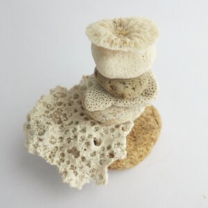 Beach Rock Stack Beach Coral Stone Sculpture Natural Zen Décor Beach ...