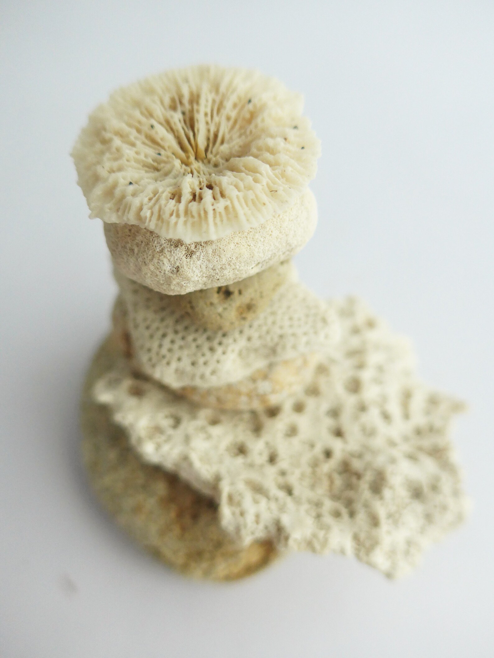 Beach Rock Stack Beach Coral Stone Sculpture Natural Zen Décor Beach ...