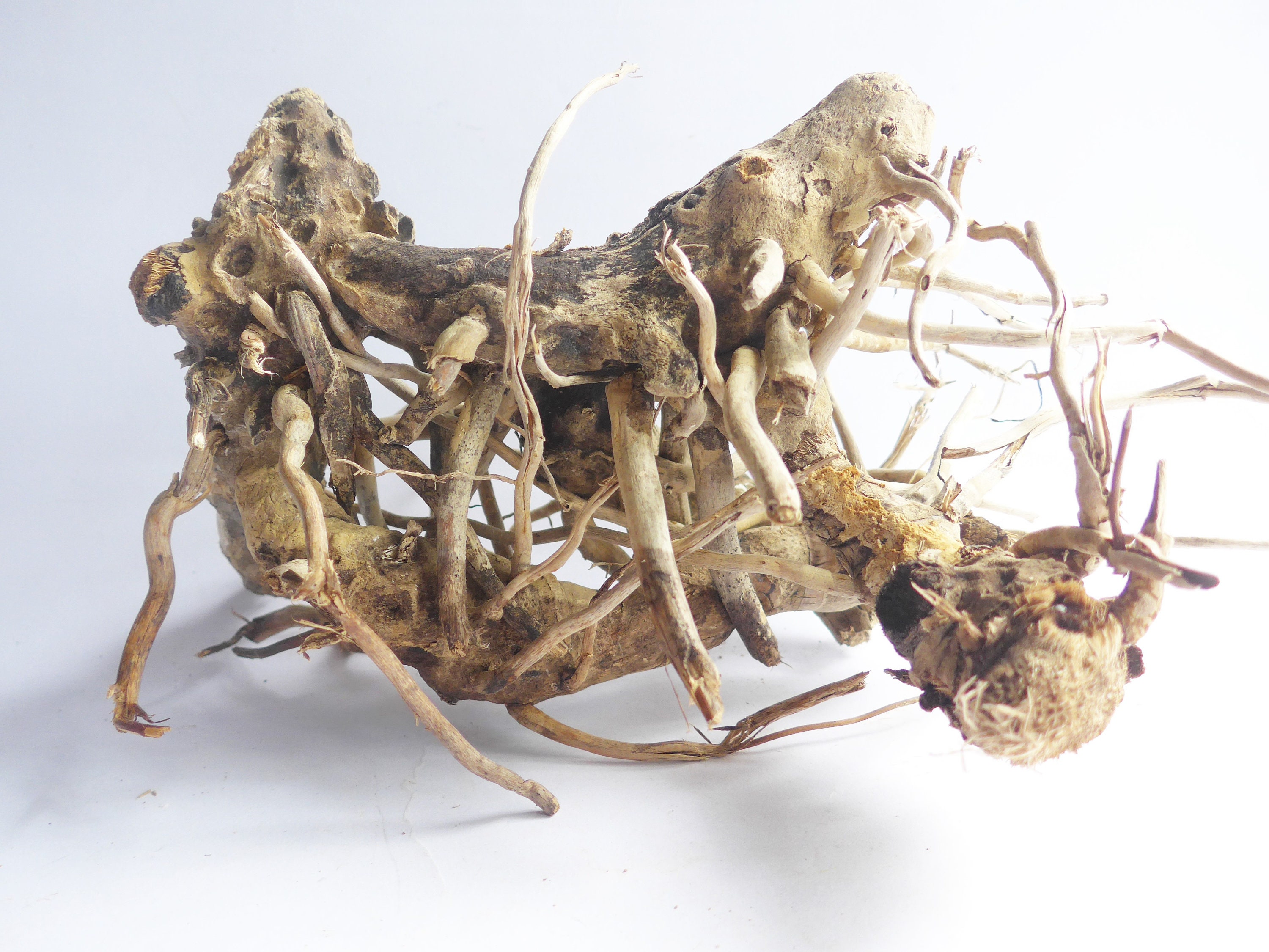 8 unique hooked pieces of Natural Dried Roots Eco forest material Old ...