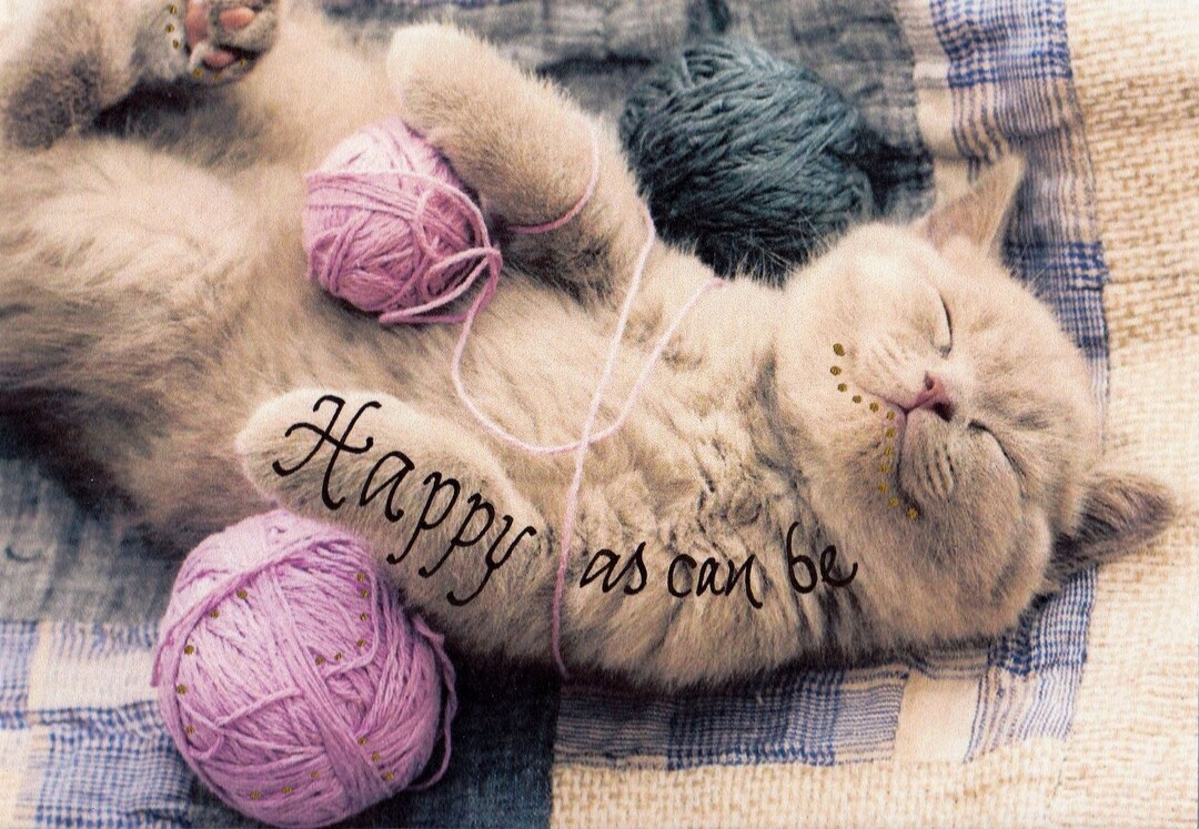 Happy as Can Be, Adorable Smiling Cat, Hand Lettered With Gold and ...