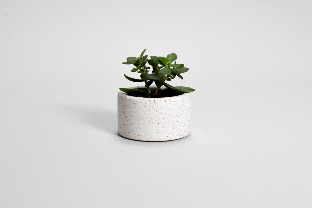 Straciatella Plant Pot Parvi Baby Plant Pot Modern - Etsy