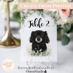 Wedding Seating Chart Cards With Pets From Photos, Dogs Wedding Table ...