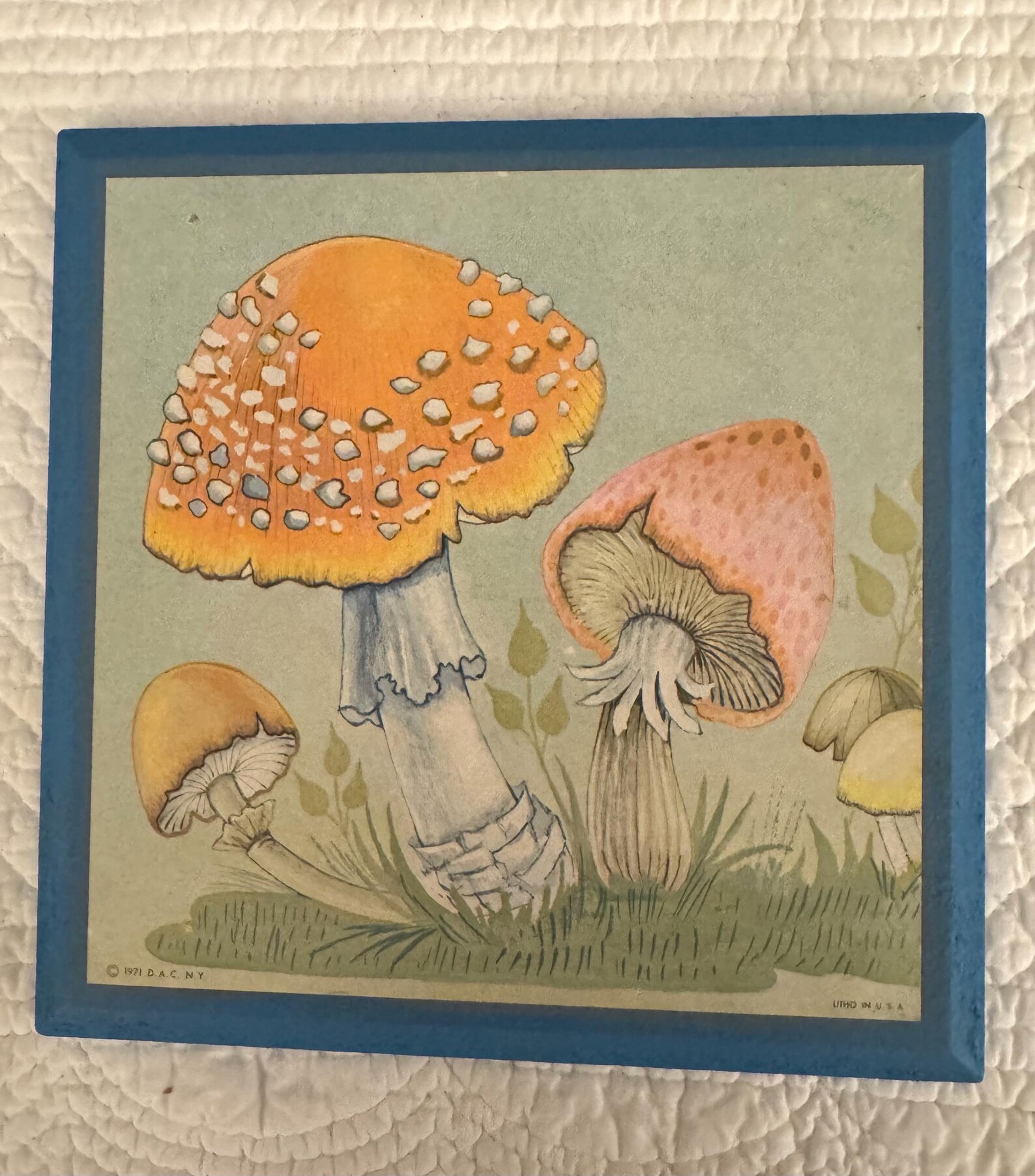 Vintage Soovia Janis Prints/jacque Pati Kitchen Art Print/jacque Pati ...