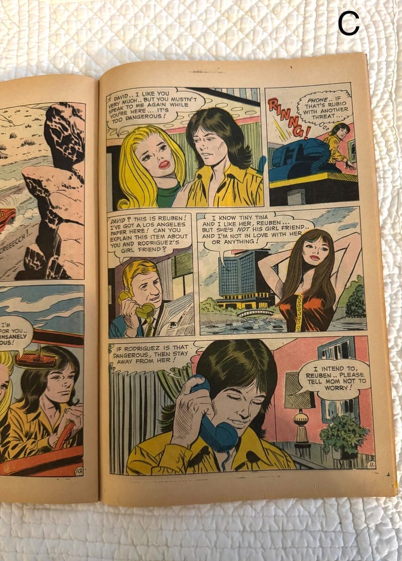 Vintage David Cassidy Comic Book/david Cassidy Book/partridge Family ...