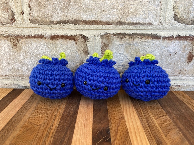 Blueberry Plush Fidget Toy Soft Stress Ball Favors Stress - Etsy