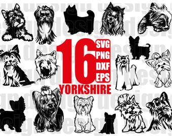 Yorkie svg | Etsy
