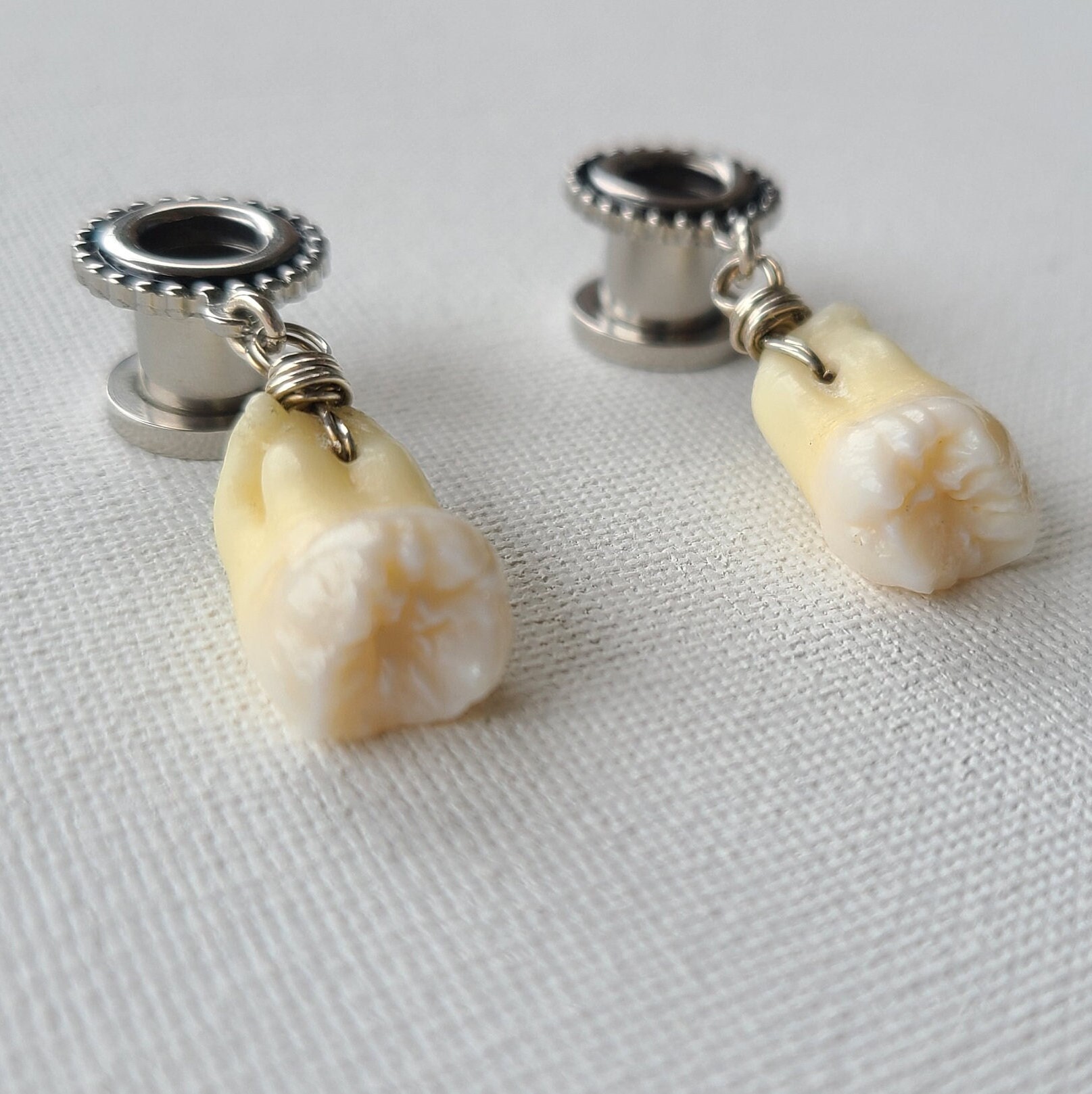Real Human Teeth Earrings With Sterling Sterling Silver or Gold Filled ...