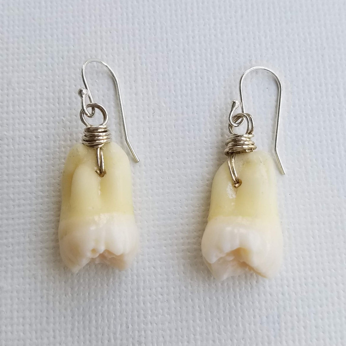Real Human Teeth Earrings With Sterling Sterling Silver or Gold Filled ...