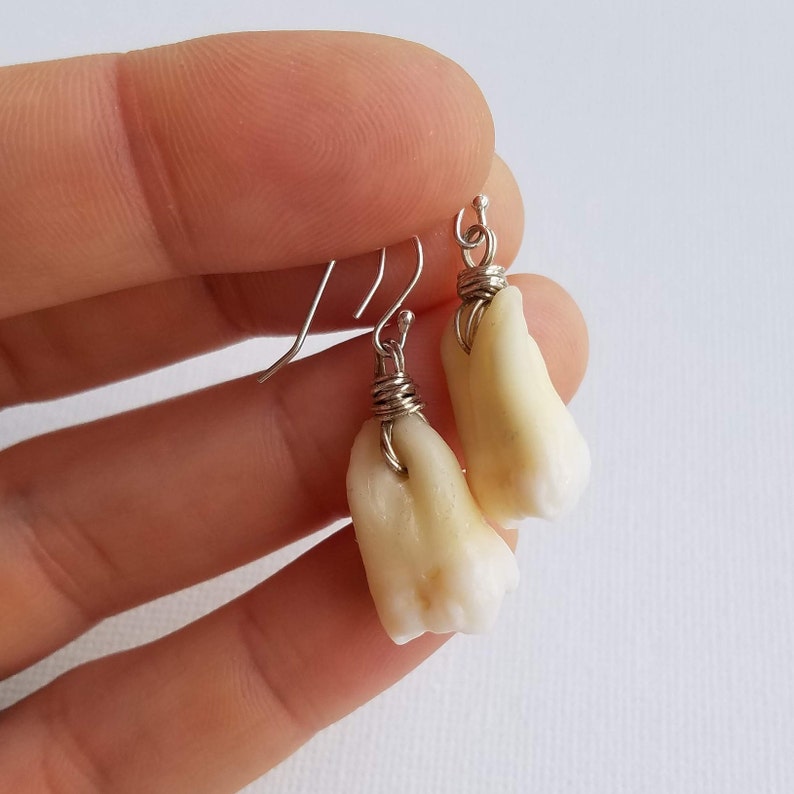 Real Human Teeth Earrings With Sterling Sterling Silver or Gold Filled ...